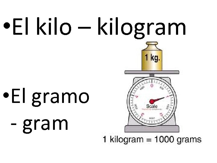 Bell ringer Escribe la forma correcta de los