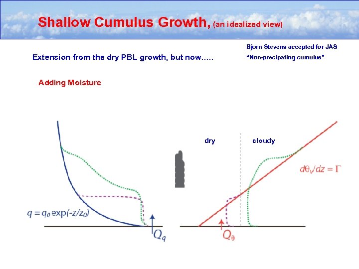 Shallow Cumulus Growth an idealized view Bjorn Stevens