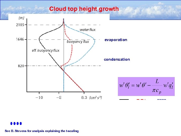 Shallow Cumulus Growth an idealized view Bjorn Stevens
