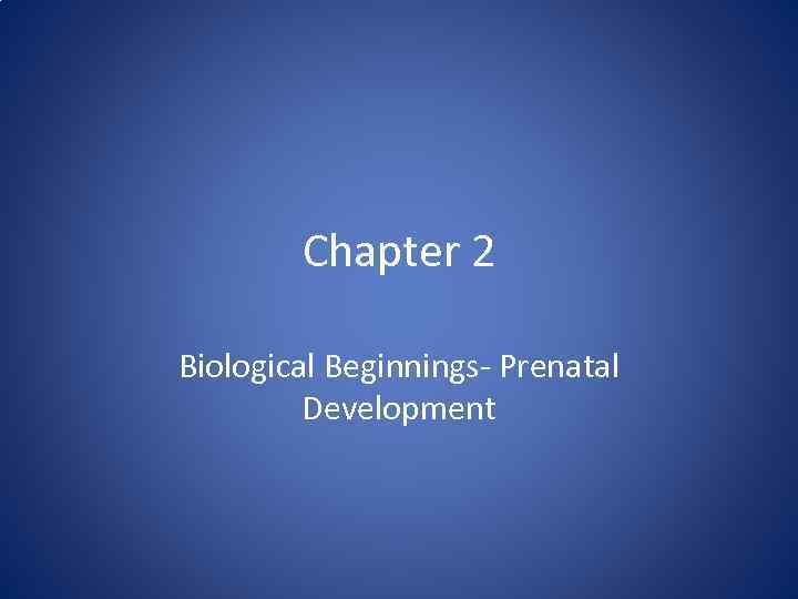Chapter 2 Biological Beginnings- Prenatal Development Handouts