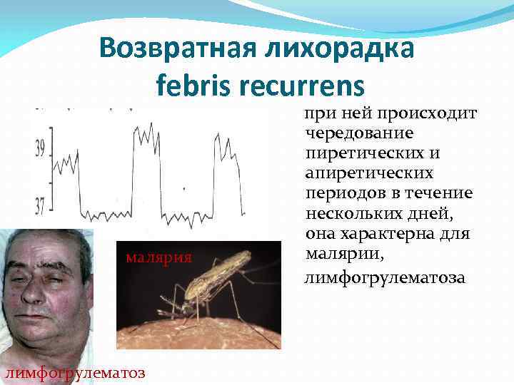 Экзаменационные вопросы по курсу патологической физиологии 1 Лихорадка