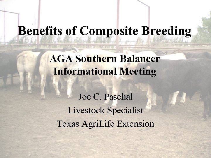 Benefits of Composite Breeding AGA Southern Balancer Informational