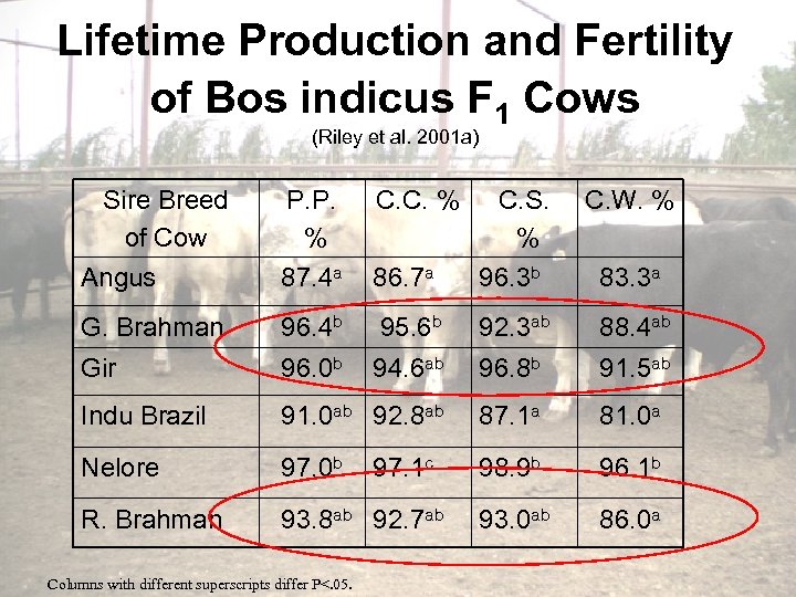 Benefits of Composite Breeding AGA Southern Balancer Informational