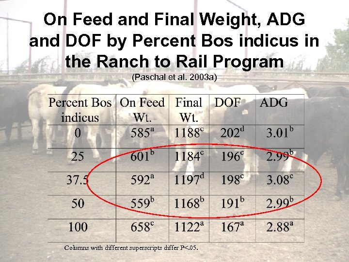 Benefits of Composite Breeding AGA Southern Balancer Informational