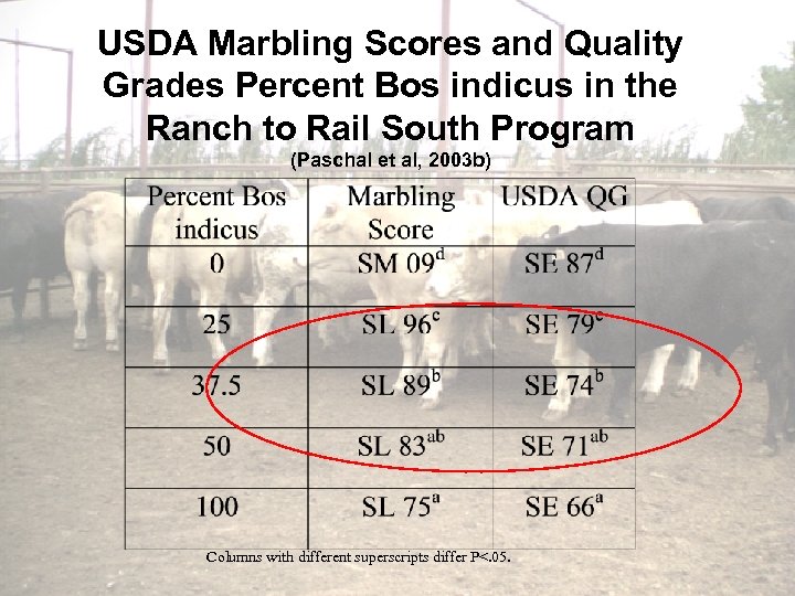 Benefits of Composite Breeding AGA Southern Balancer Informational