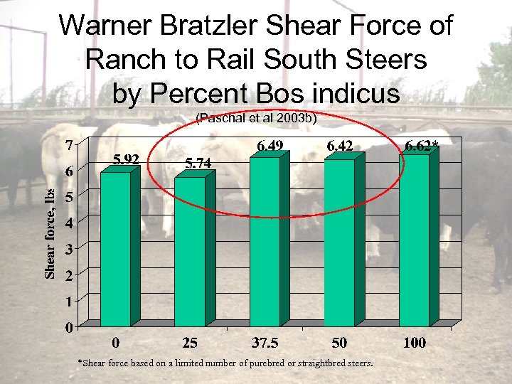 Benefits of Composite Breeding AGA Southern Balancer Informational