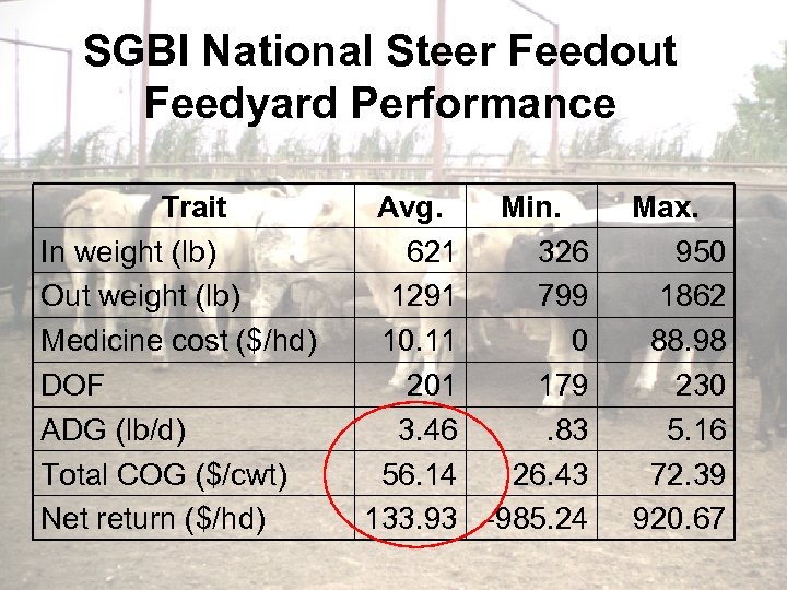 Benefits of Composite Breeding AGA Southern Balancer Informational