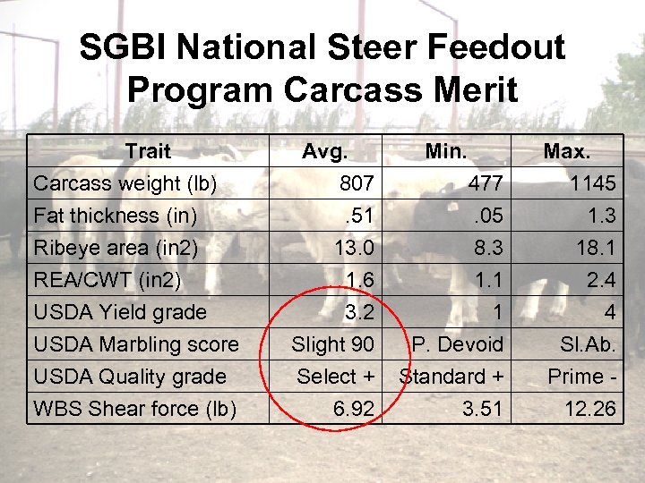 Benefits of Composite Breeding AGA Southern Balancer Informational
