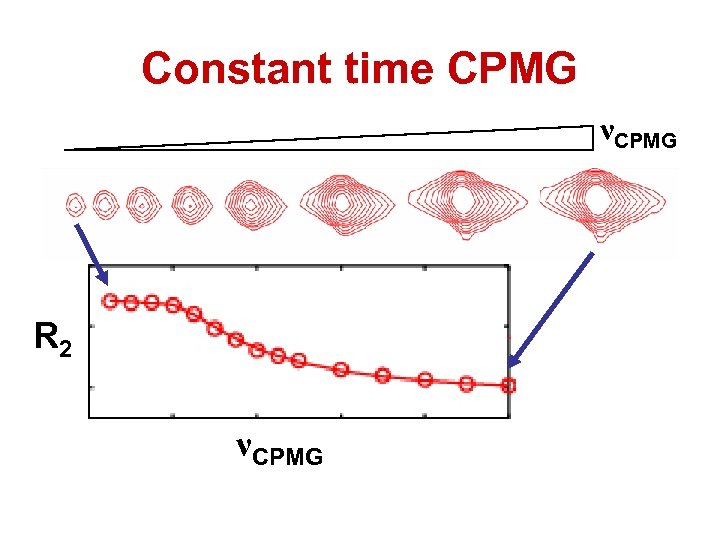 Characterizing millisecond motions in proteins using CPMG-relaxation ...
