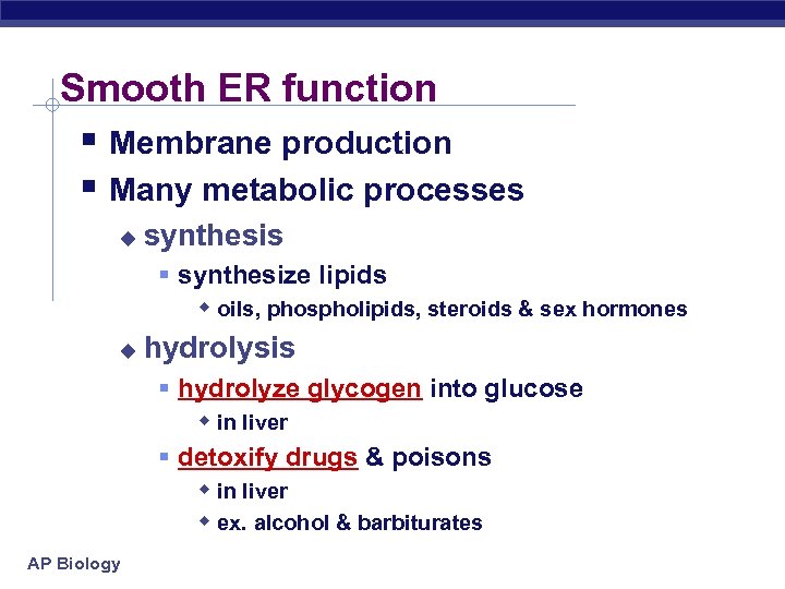 The Cell AP Biology Why are cells