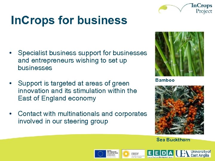 In Crops Enterprise Hub Renewable Materials in Consumer