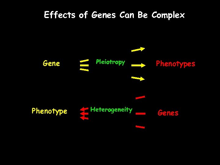 Overview Models in laboratory research The unique position