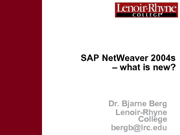 SAP Net Weaver 2004 s what is