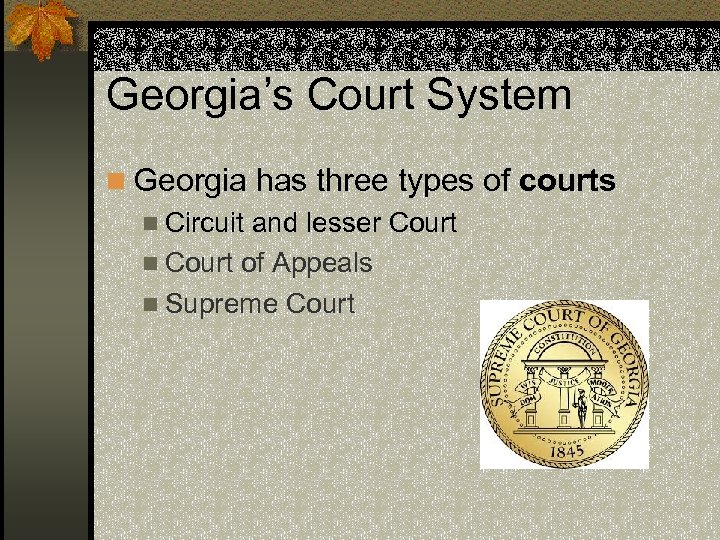 Roots of Government in Georgia