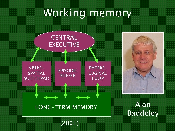 When Colorless green ideas meet working memory span