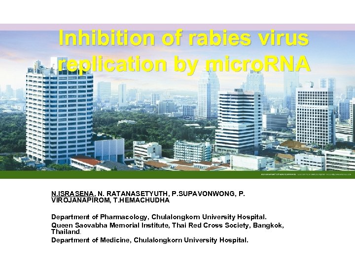 Inhibition of rabies virus replication by micro RNA