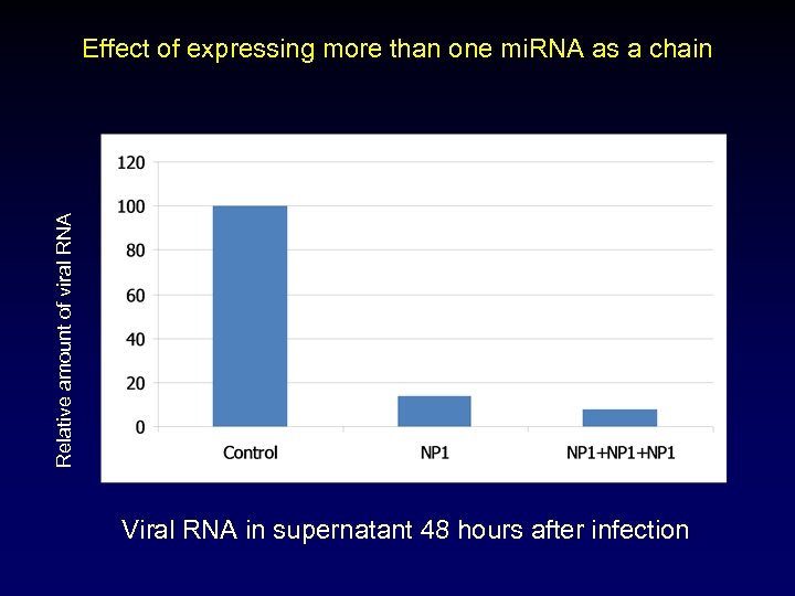 Inhibition of rabies virus replication by micro RNA