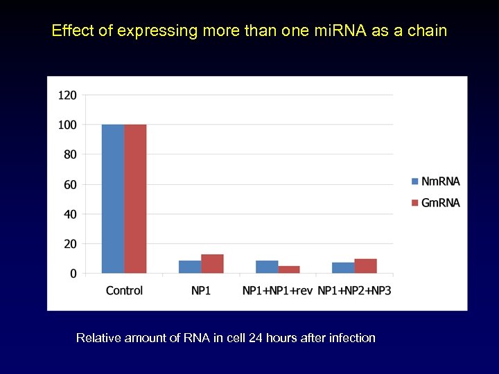 Inhibition of rabies virus replication by micro RNA