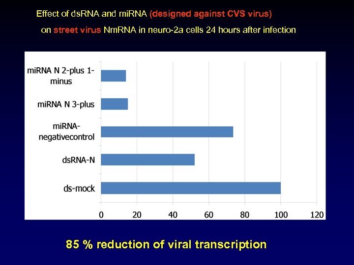 Inhibition of rabies virus replication by micro RNA