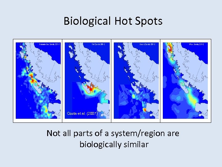 Spatial and temporal operation of food webs Scales