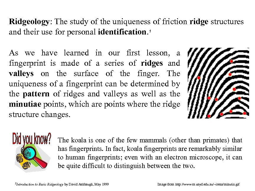 A Closer Look at Fingerprints 8 th Grade