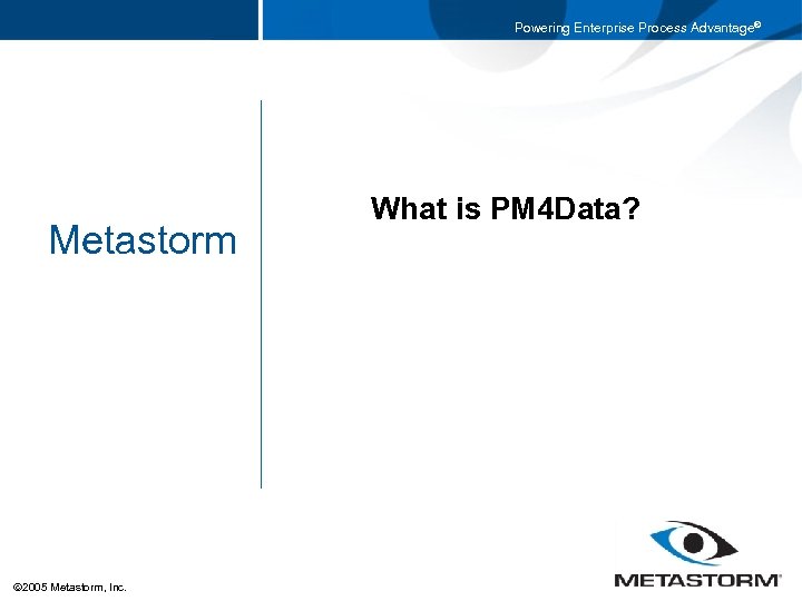 Powering Enterprise Process Advantage Metastorm PM 4 Data