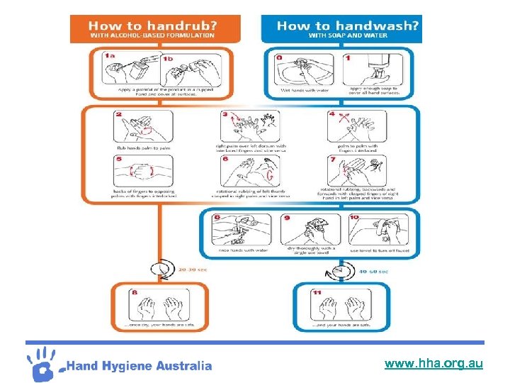 Hand Hygiene for Clinical staff www hha org