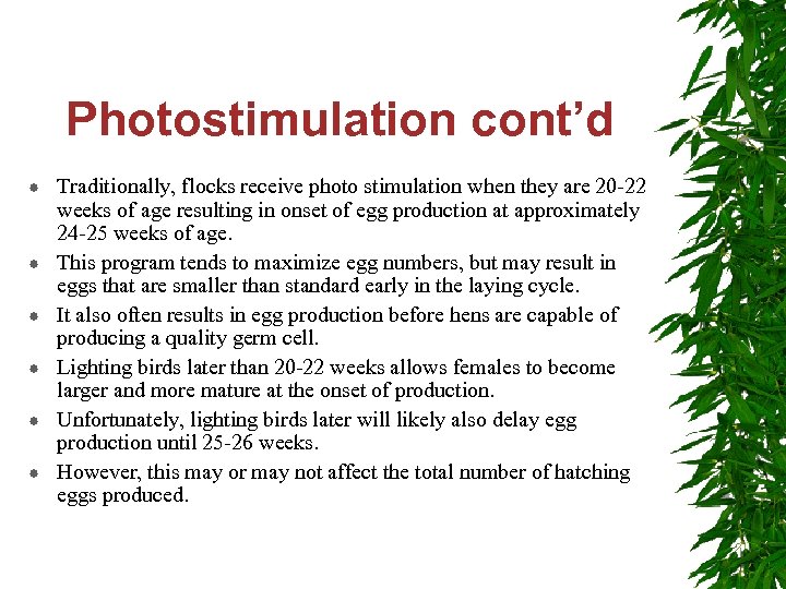 Managing Today Broiler Breeder Female O B T