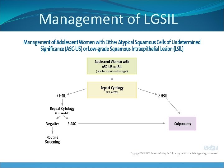 Cervical Cancer Screening 2010 and PID in pregnancy
