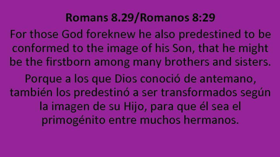 Romans 8 29 Romanos 8 29 For those God