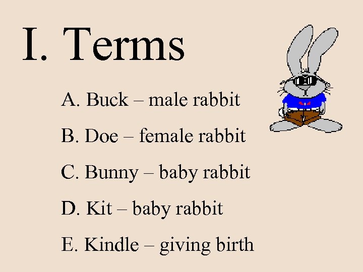 Small Animal Management Rabbits I Terms A