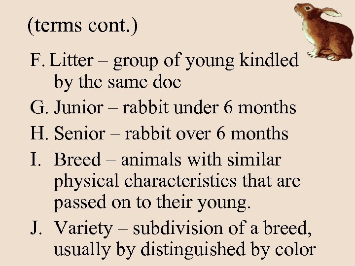 Small Animal Management Rabbits I Terms A