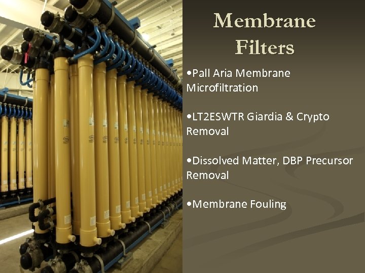 Case Study Disinfection byproducts in a recently constructed