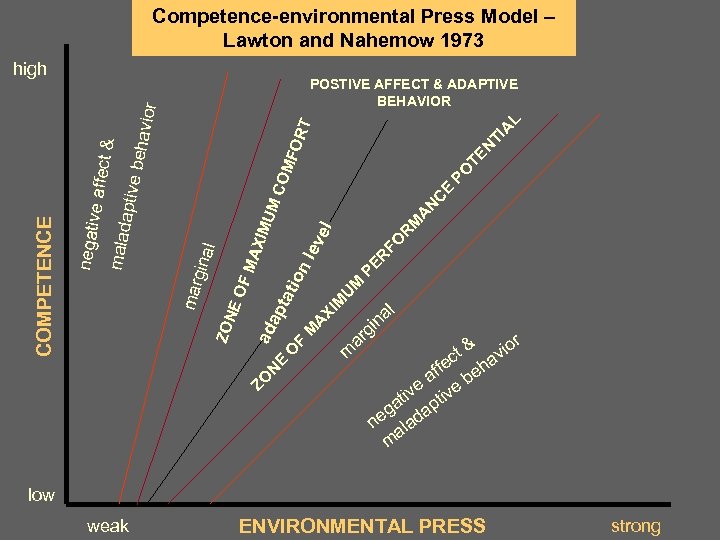 Innovation in Occupational Therapy Practice Evidence of OT