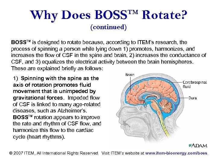 What is BOSS TM The Brain Optimization