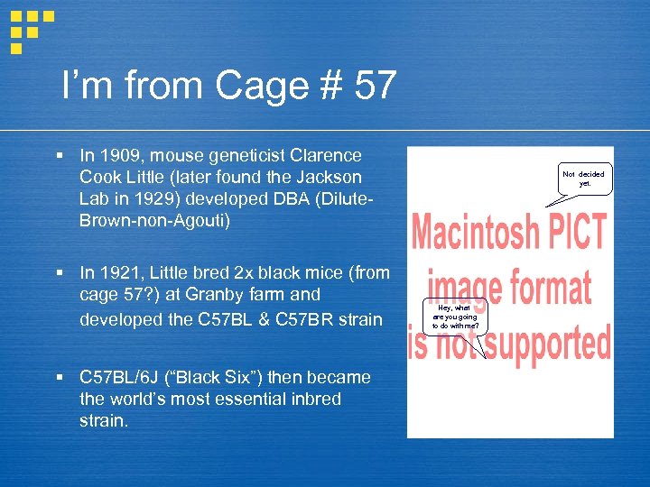 KNOW THY MOUSE All mice are equal They