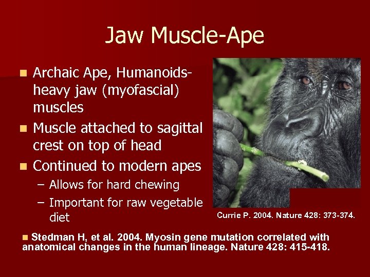 From DNA Mutations to Selectable Phenotypes to Genetically