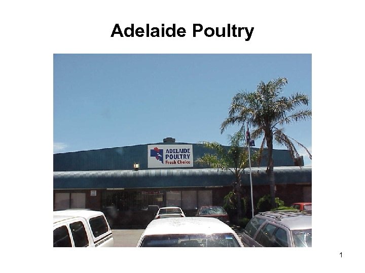 Adelaide Poultry 1 Onsite WW Treatment Brief