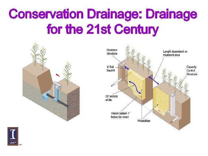 Conservation Drainage Drainage for the 21 st Century