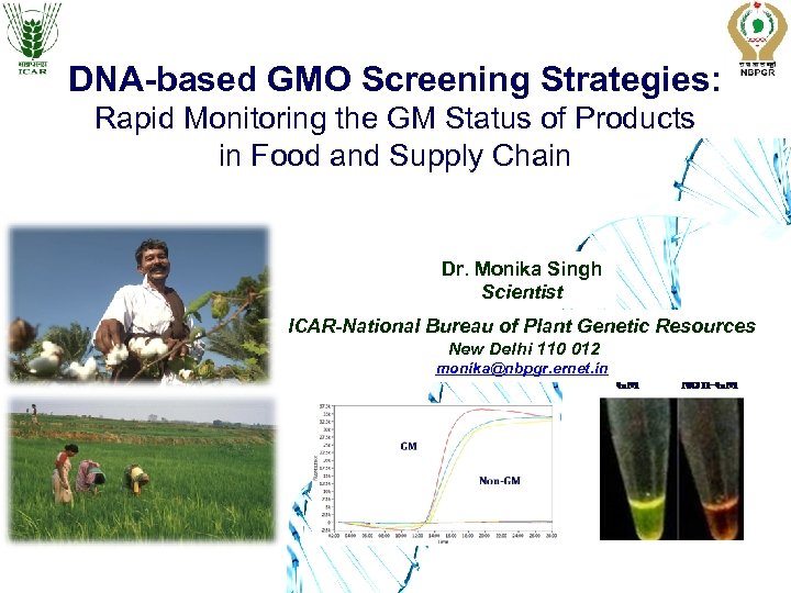 DNA-based GMO Screening Strategies Rapid Monitoring the GM