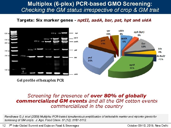 DNA-based GMO Screening Strategies Rapid Monitoring the GM