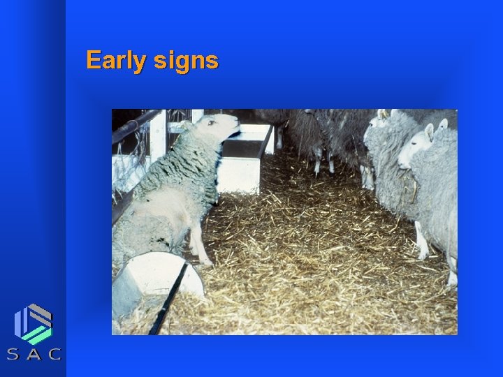 The Scottish Sheep Scab Initiative Presentation prepared by