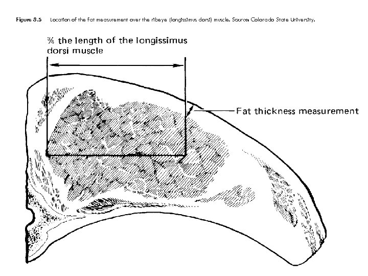 UNIT 11 MEATS Chapters 3 7 -9