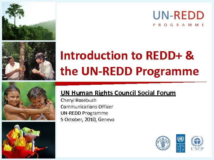 Introduction to REDD the UN-REDD Programme UN