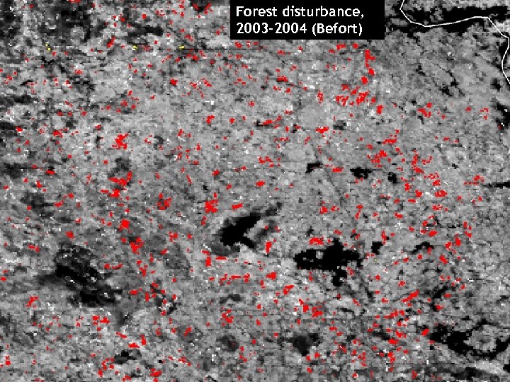 Forest Disturbance Mapping USFS RSAC September 6