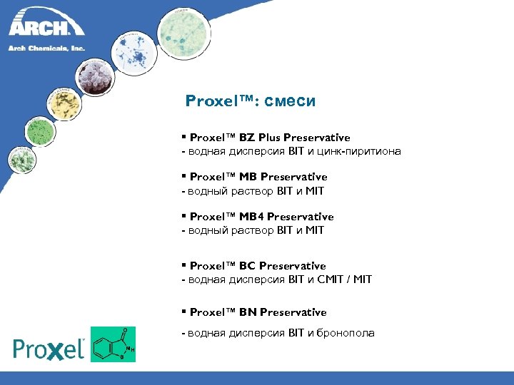 Arch Продукты для строительства Инновационные биоциды для