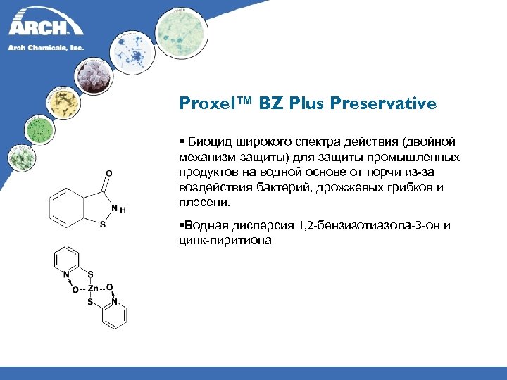 Arch Продукты для строительства Инновационные биоциды для