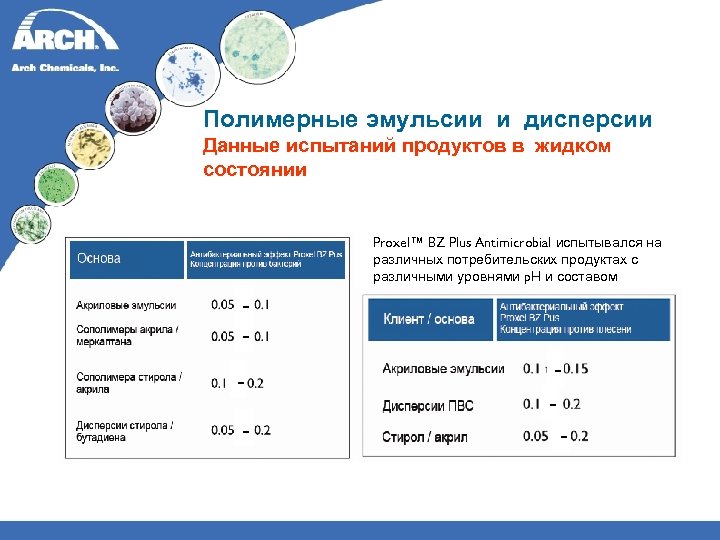 Arch Продукты для строительства Инновационные биоциды для