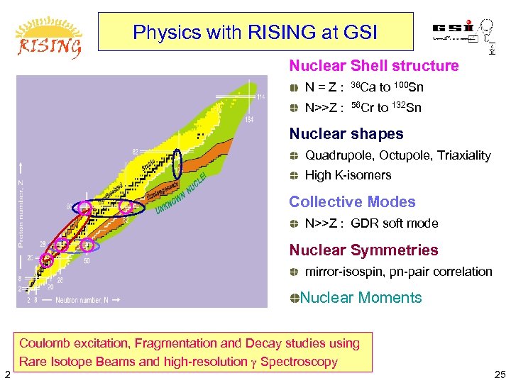 Nuclear Structure studies using fast radioactive beams