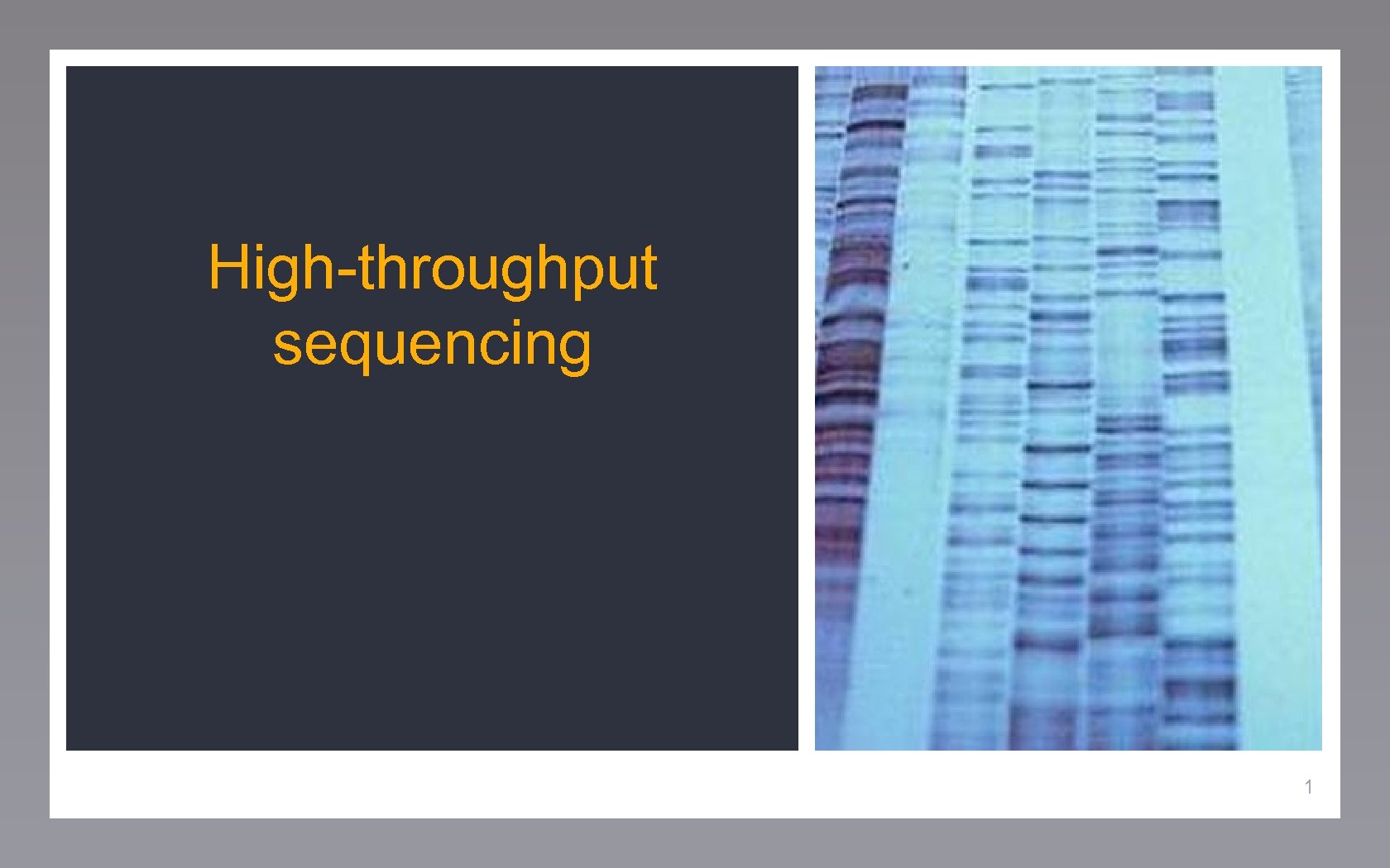 High-throughput sequencing 1 Biological samples Workflows 2